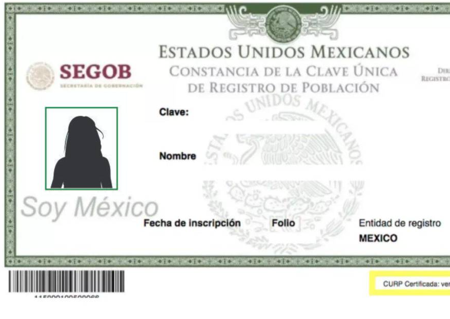 CURP con fotografía es aprobada y tendrá validez de identificación